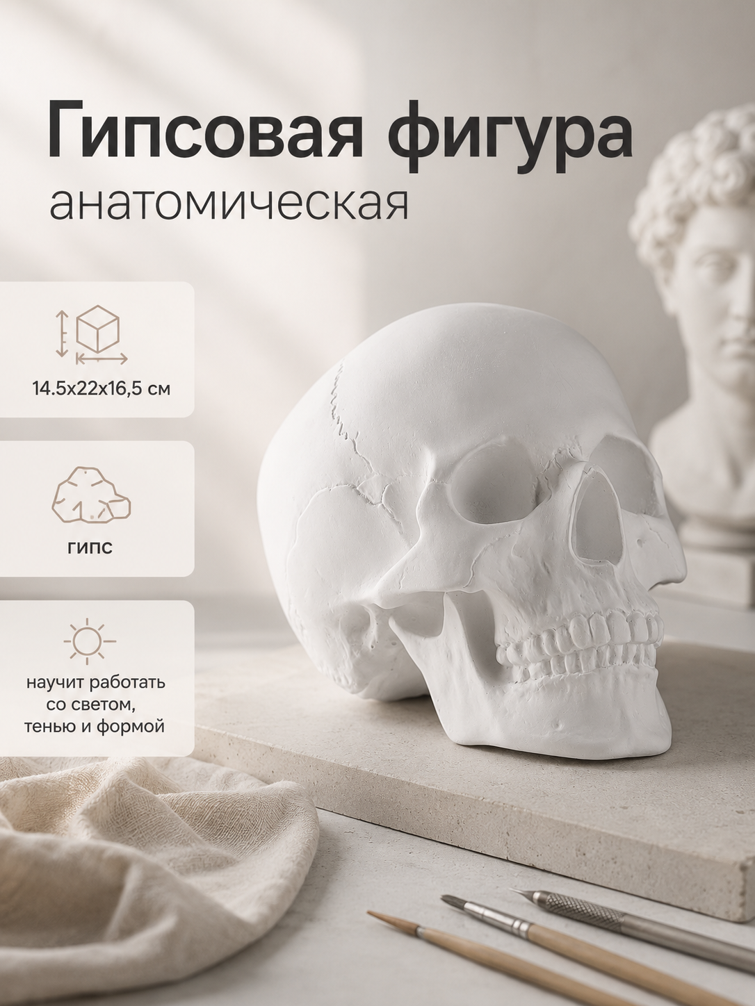 Гипсовая фигура анатомическая: череп анатомический, 14.5 х 22 х 16,5 см