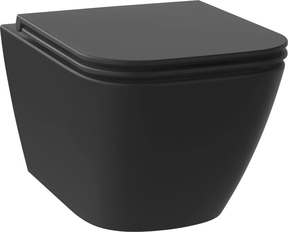 Унитаз подвесной Wellsee Pure BY Wellsee 182604001 с микролифтом, безободковый, без бачка, антивсплеск, фарфоровый, черный, матовый, овальный, сиденье для унитаза в комплекте