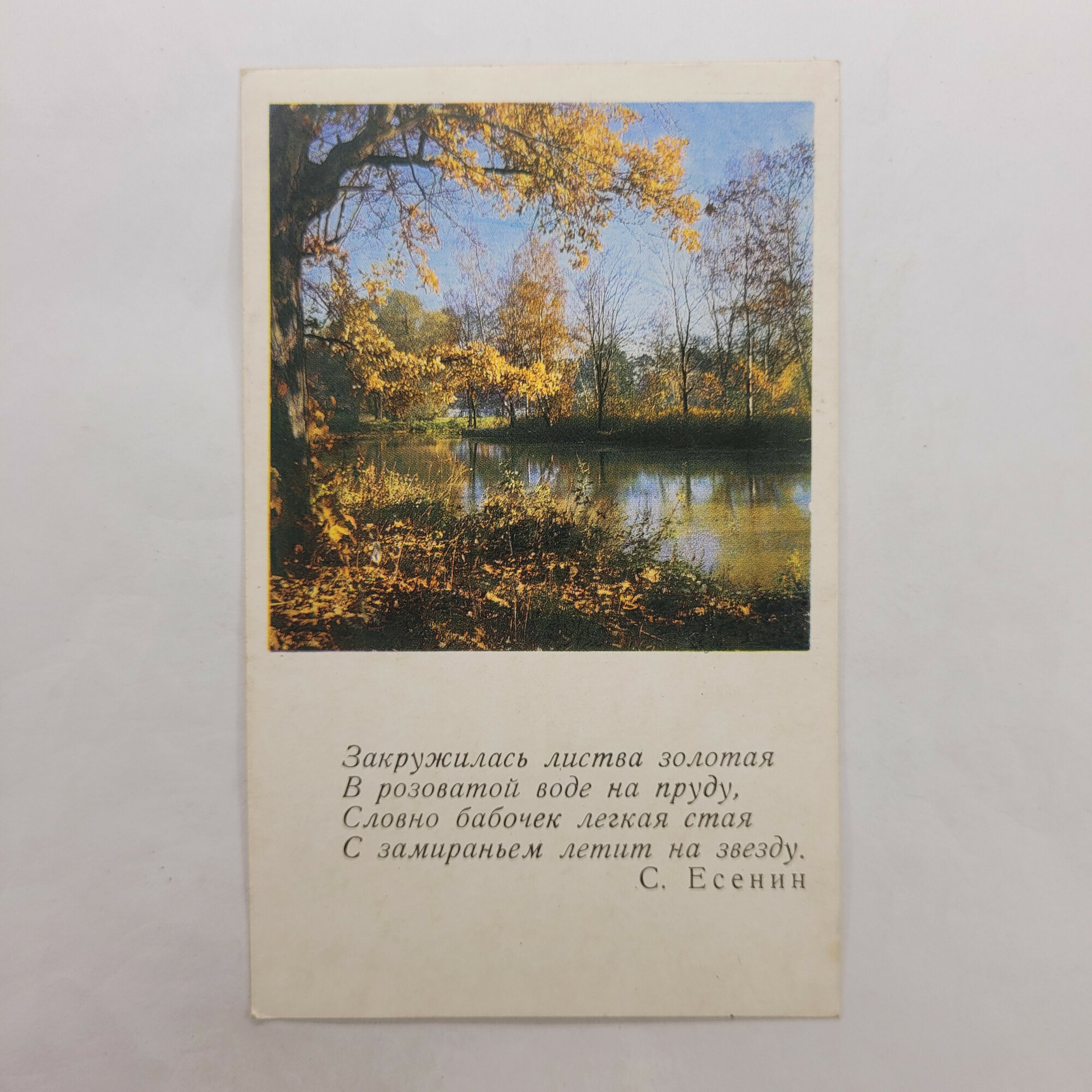 Открытка старинная. Осень, золотая листва на фоне пруда. Стихи С. Есенина внизу.