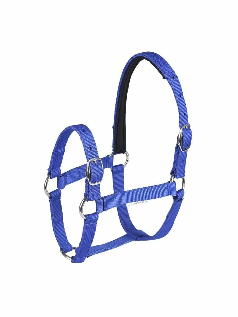 Недоуздок Cavassion S, для управления лошадью, синий, текстиль, длина 20см, ширина 20см