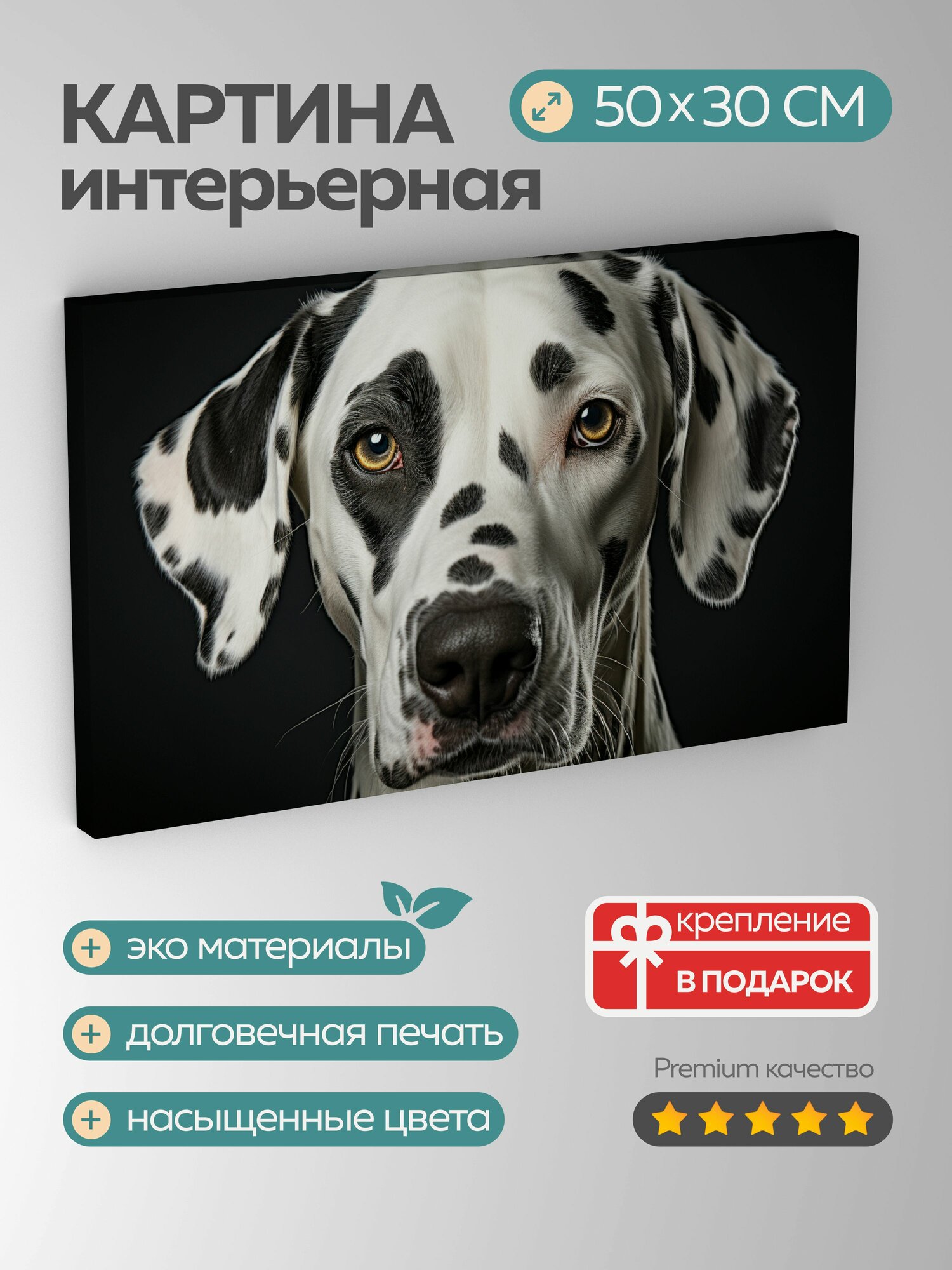 Картина на холсте интерьерная 50х30 см, Далматинец, фотография, профессиональная фотосесс, естественный свет
