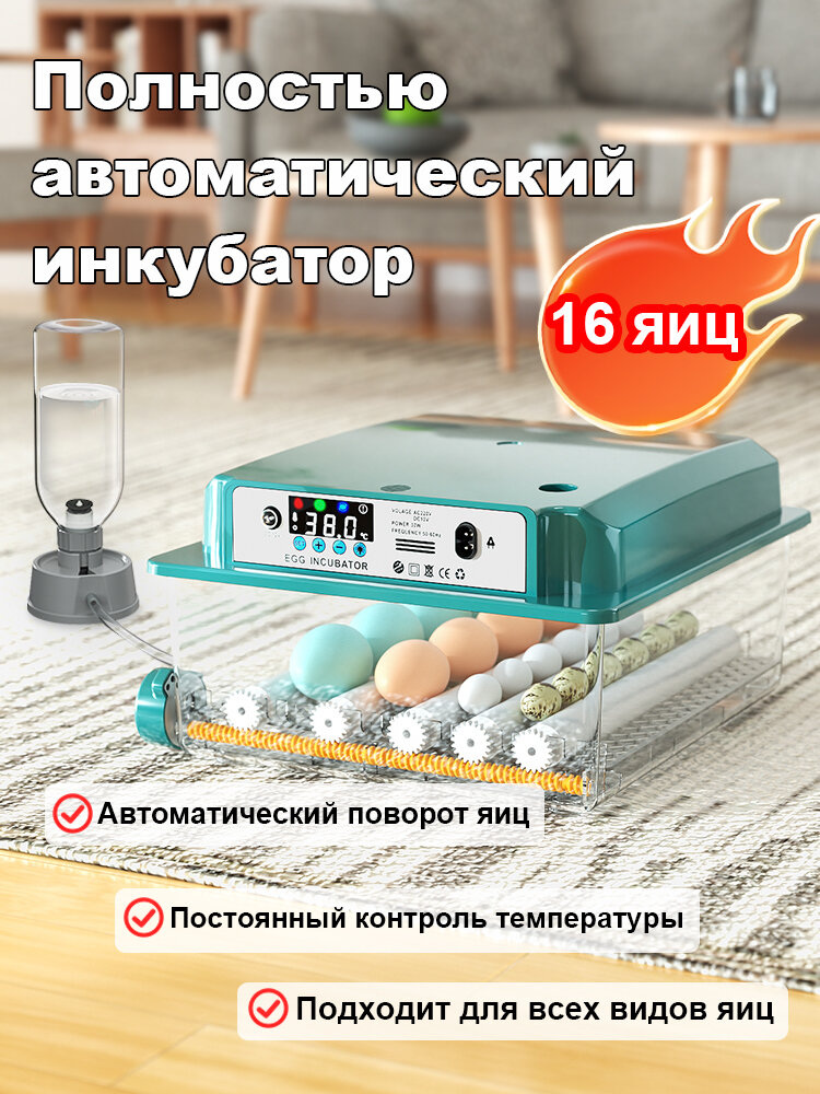 Домашний умный инкубатор
