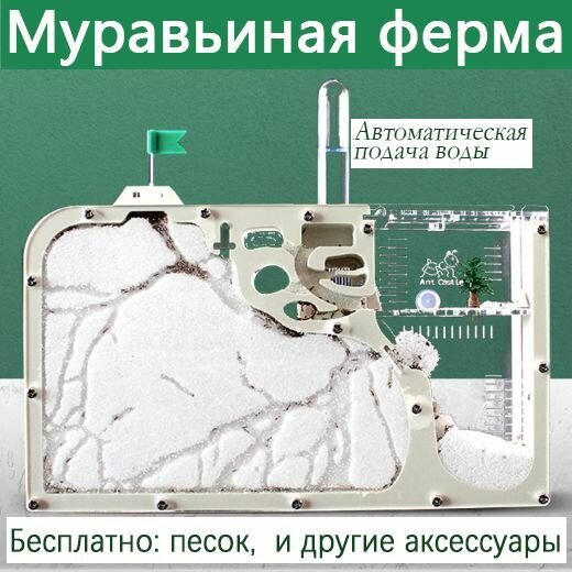 Муравьиная ферма "Гнездо песчаника" -KP