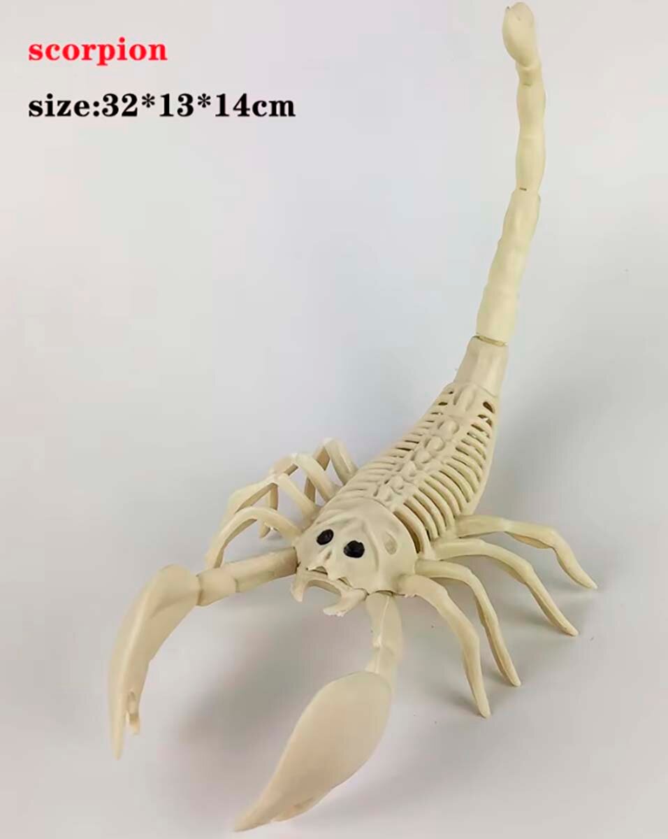 Скелет Скорпиона ГК Сфера, пластик, 24x15см, для украшения, декоративный, для Хэллоуина