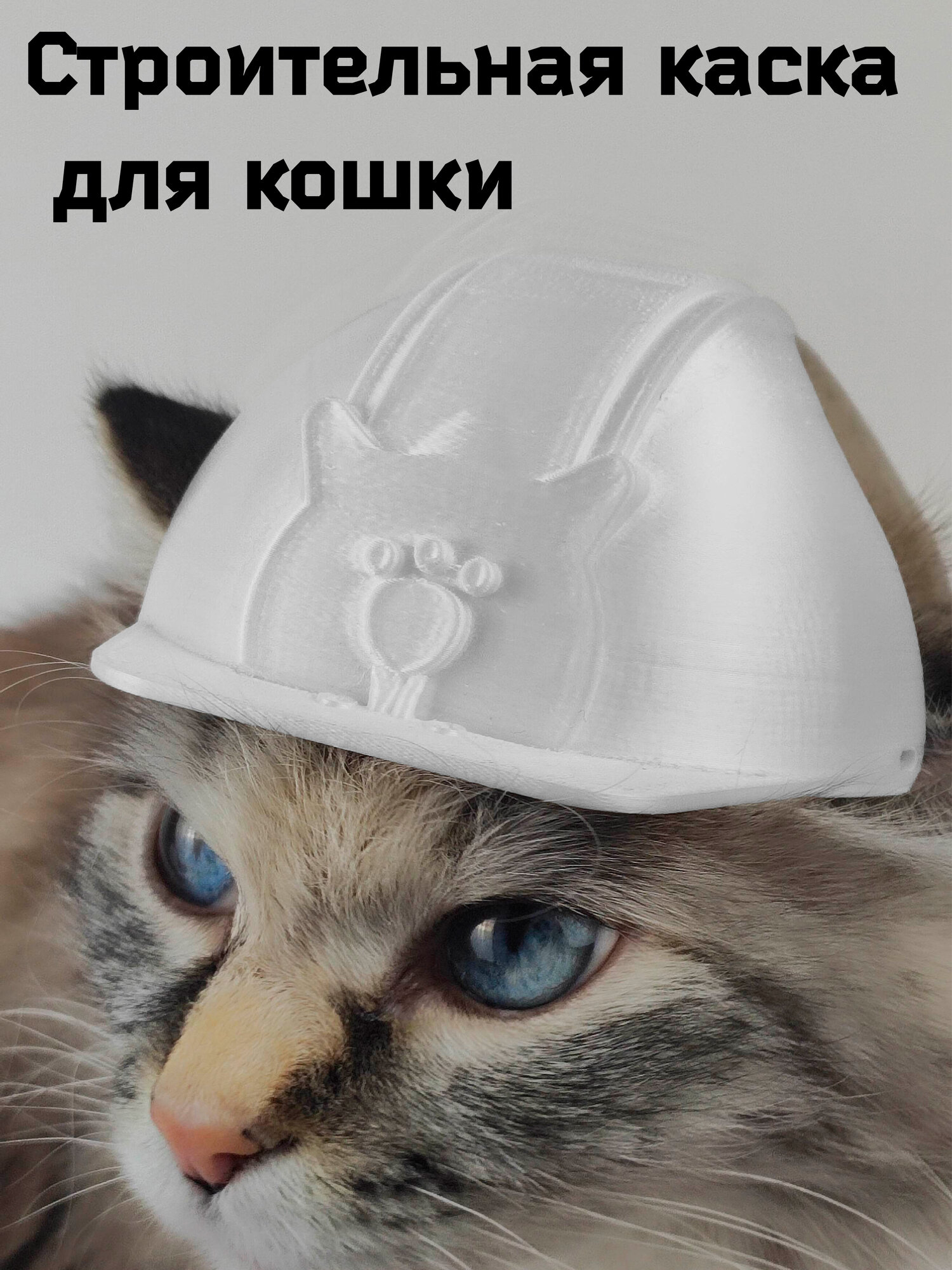 Строительная каска для кошки