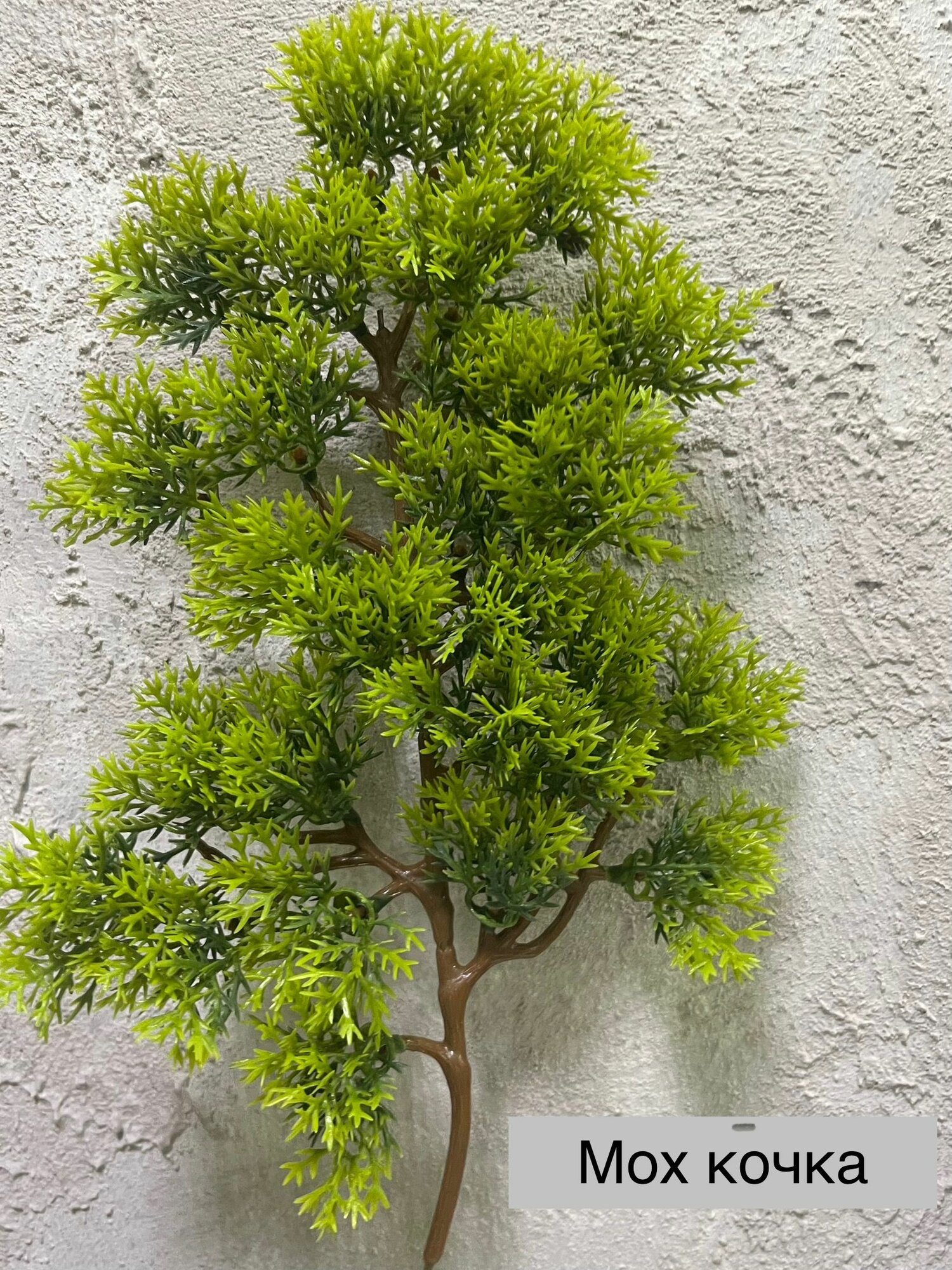 Мох кочка декоративный
