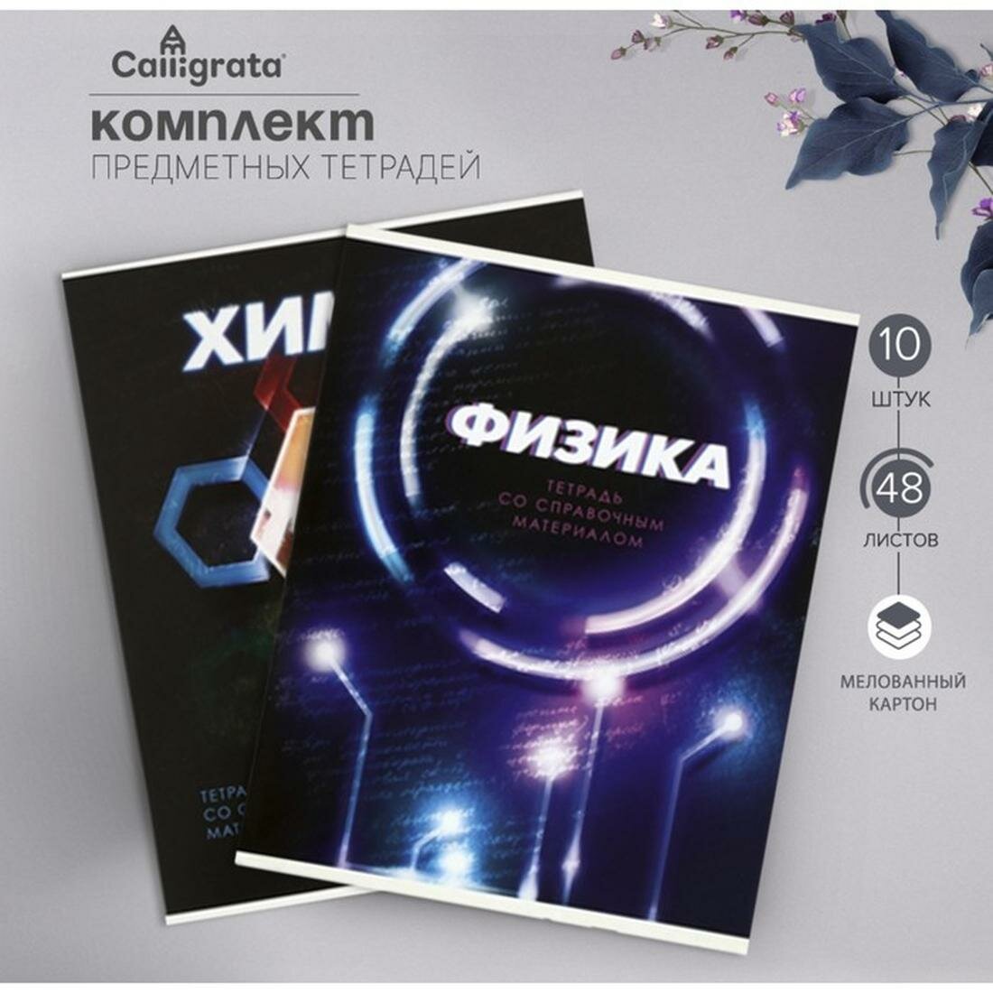 Набор предметных тетрадей 48 листов, Calligrata 3D, 10 предметов, серые листы