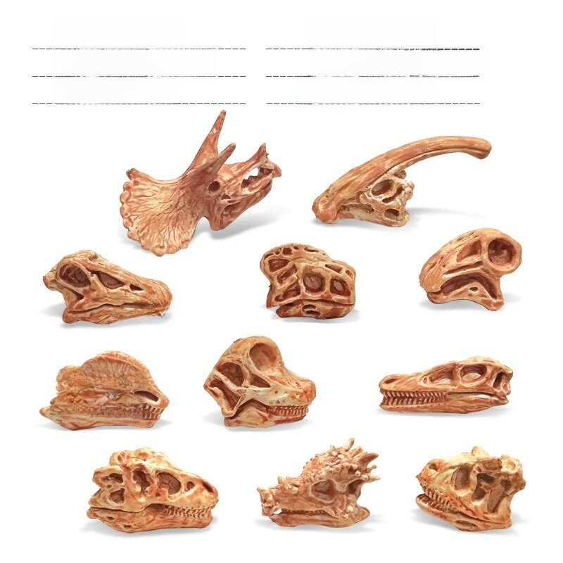 Статическая модель черепа древнего животного пвс для образования и домашнего использования стильд