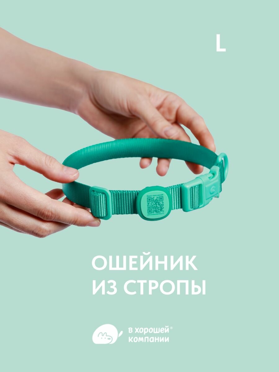 Ошейник с адресником для собак крупных пород IN GOOD COMPANY (L / Грасс / стропа)