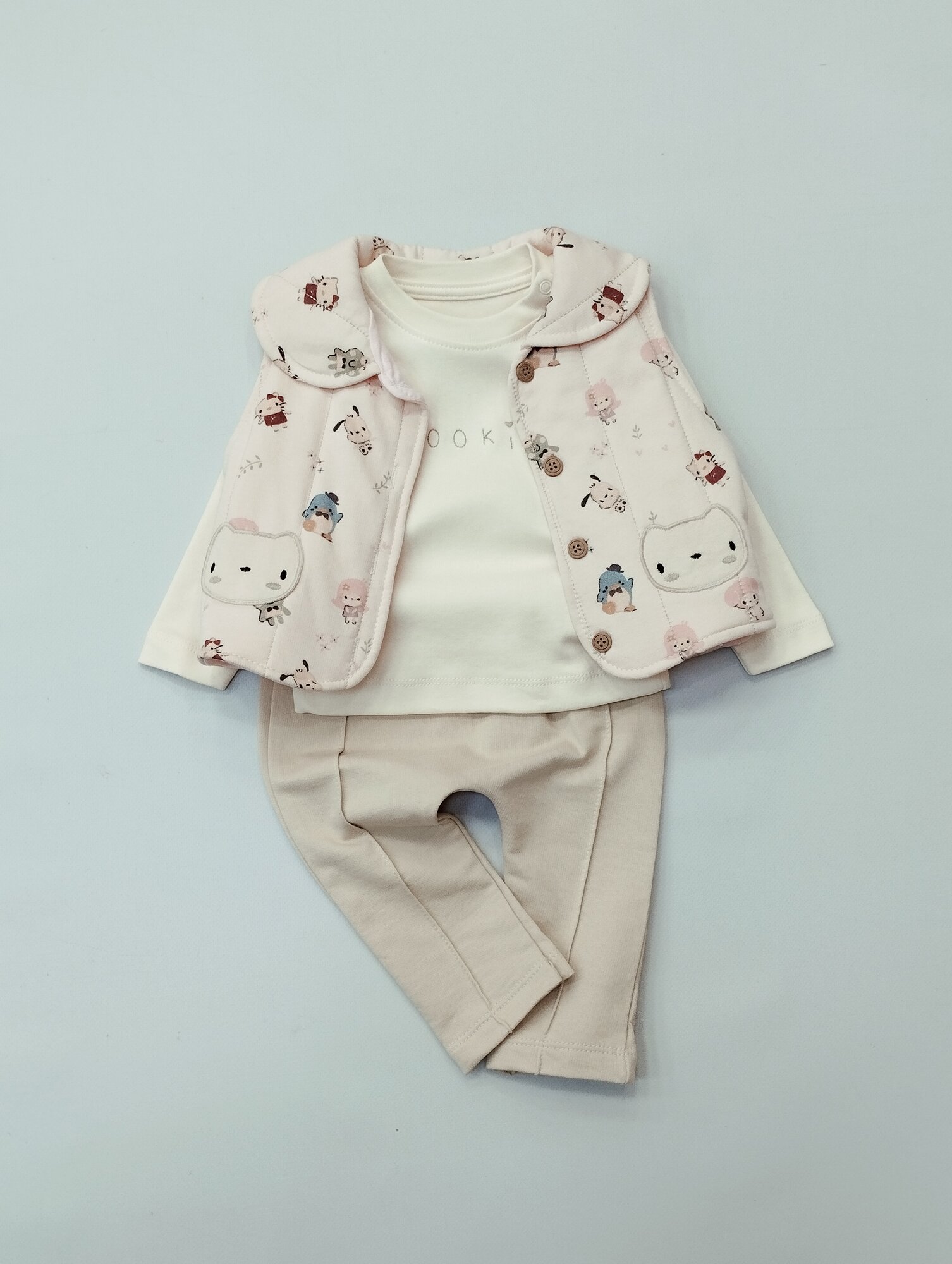 Комплект одежды весна/осень