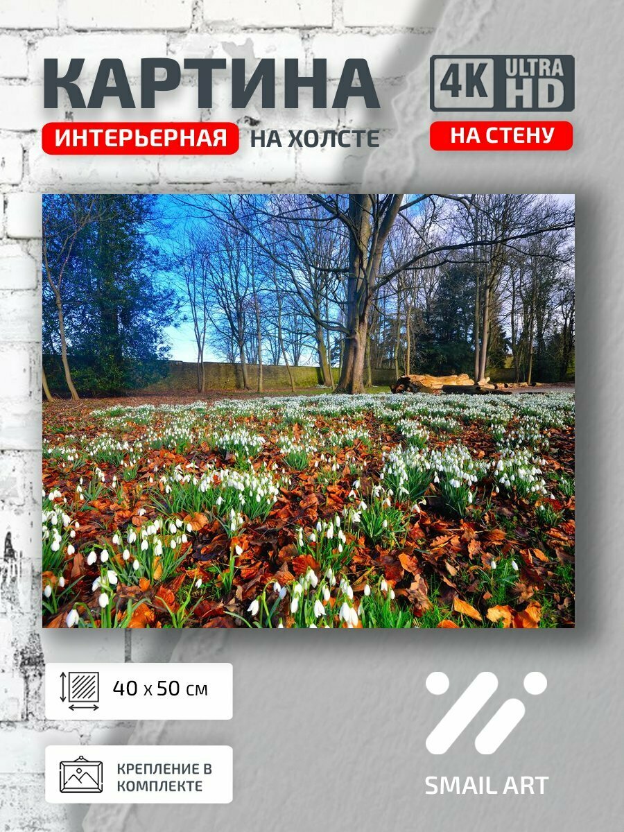 Картина на холсте интерьерная 40 на 50 на стену Подснежники Landscape для гостиной пейзаж