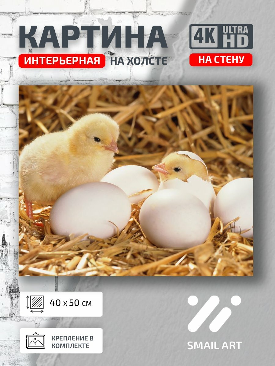 Картина на холсте интерьерная 40 на 50 на стену Гнездо Mood для кабинета атмосфера интерьер