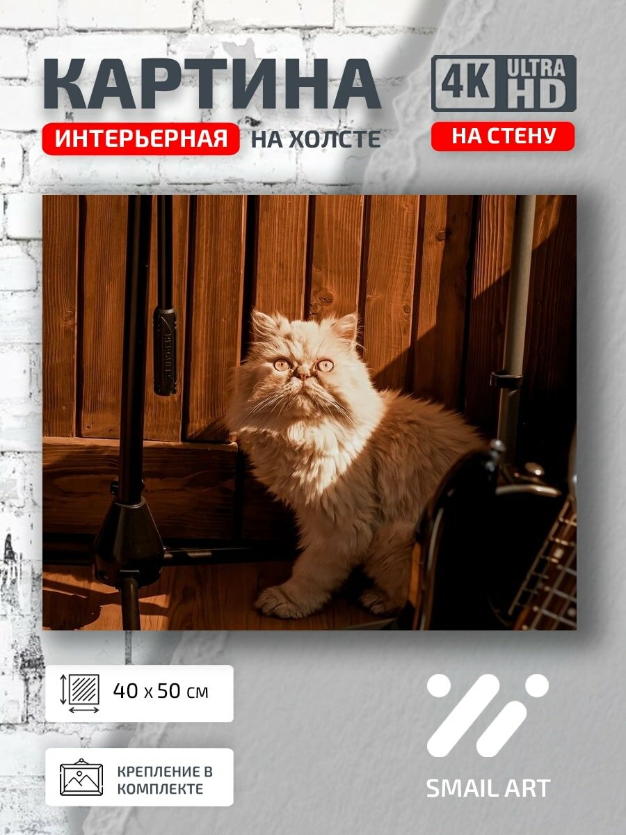 Картина на холсте интерьерная 40 на 50 на стену Животные Кот для гостиной атмосфера