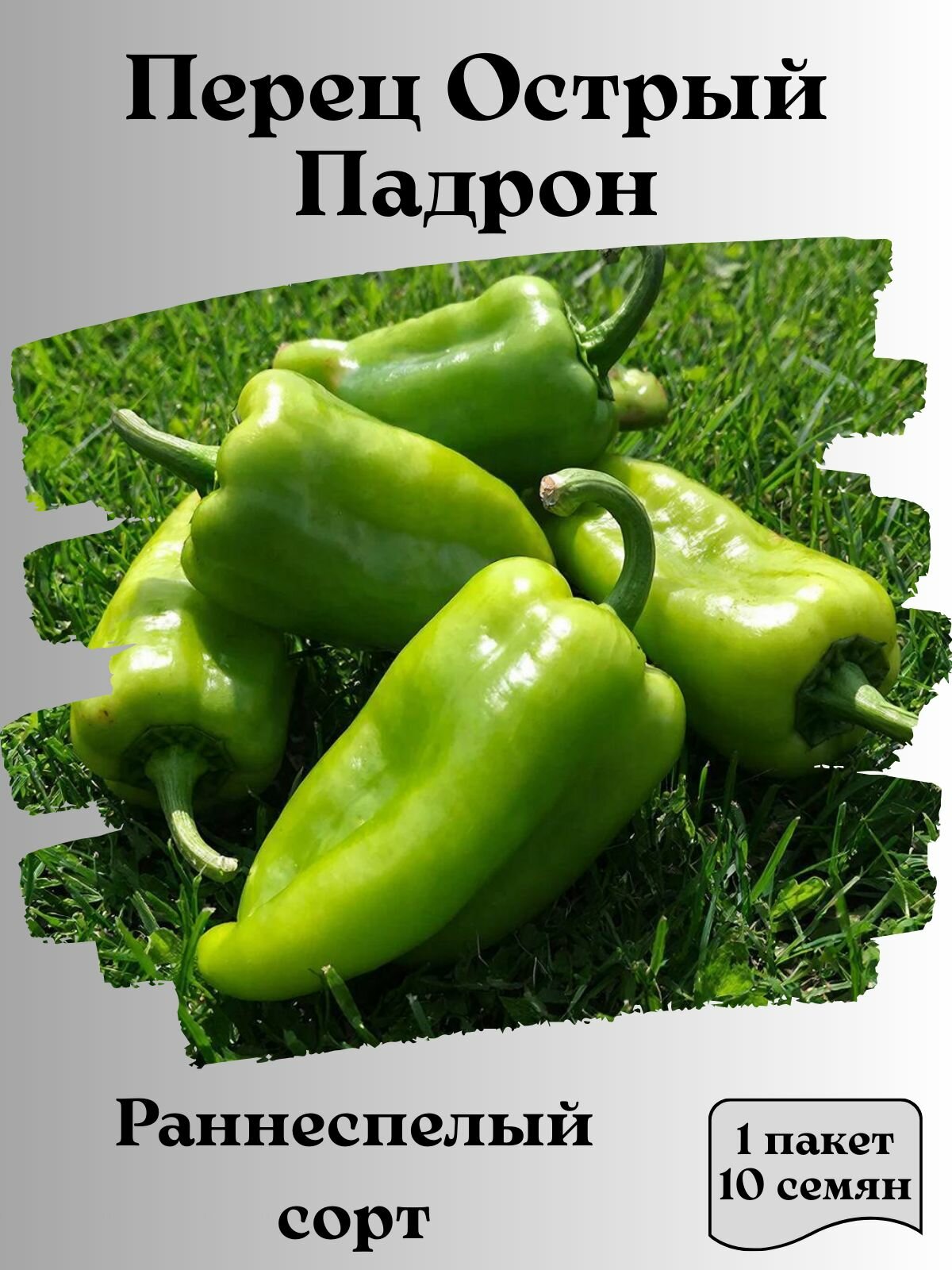 Перец Острый Падрон, семена, 10 шт, 15 гр.
