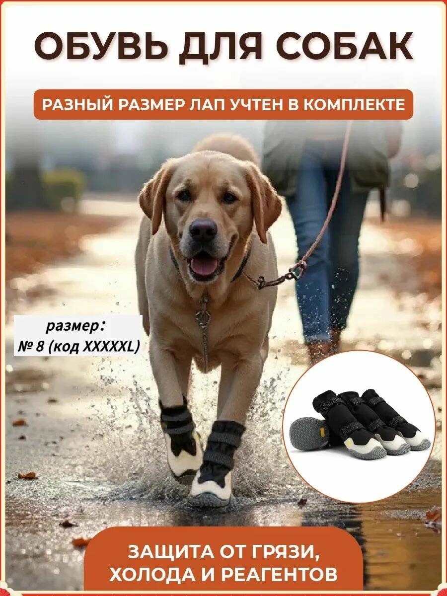 Обувь для собак