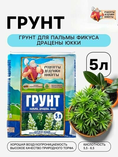 Грунт для Пальм, Фикусов, Юкки и Драцен "Рецепты дедушки Никиты", 5 литров