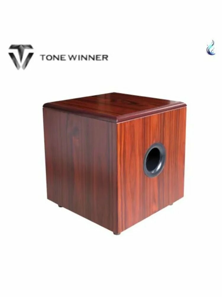 Активный сабвуфер Tone Winner SUB-10TD-N 10-дюймовый сабвуфер для домашнего кинотеатра с мощным динамиком