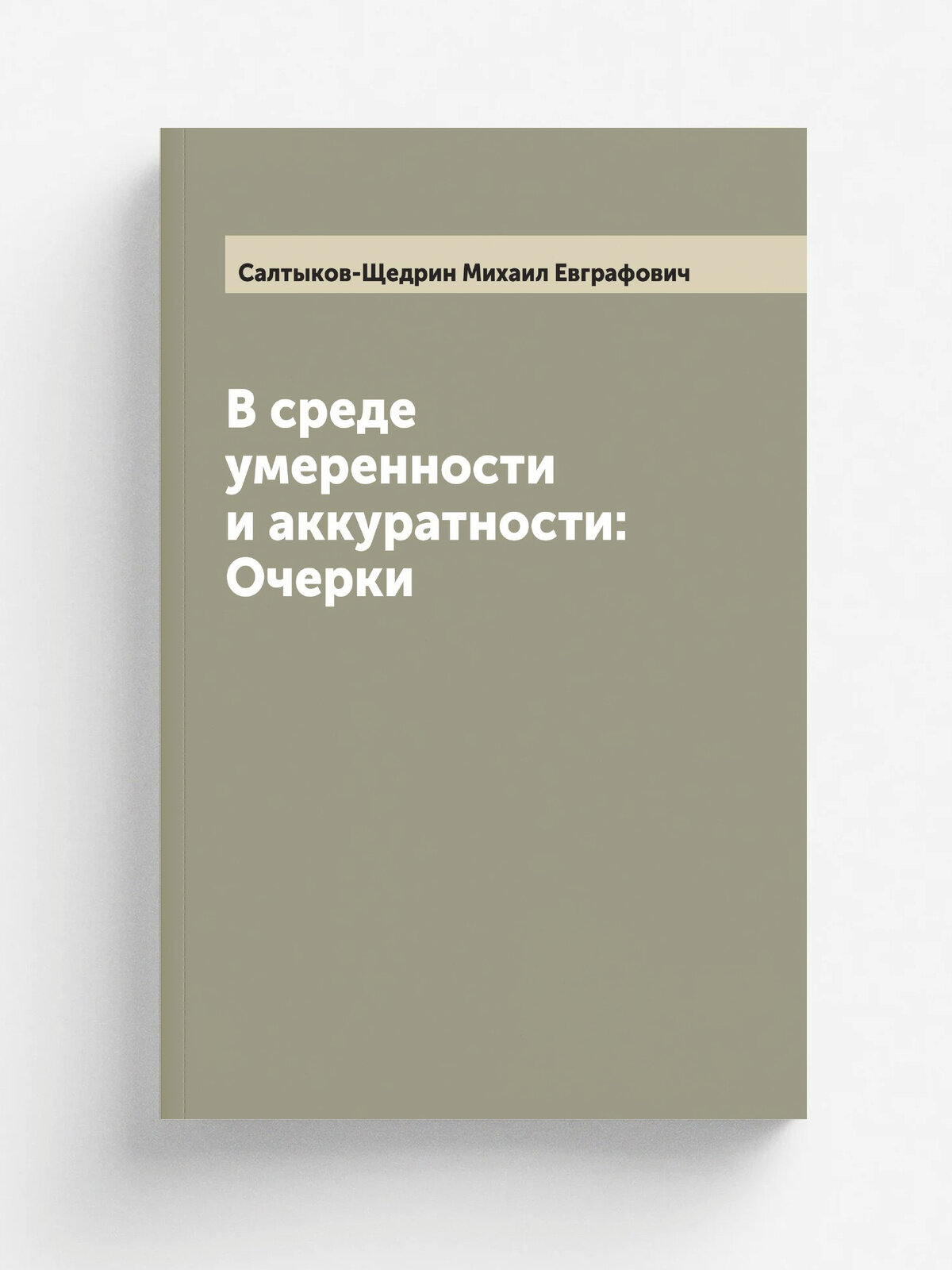 В среде умеренности и аккуратности: Очерки