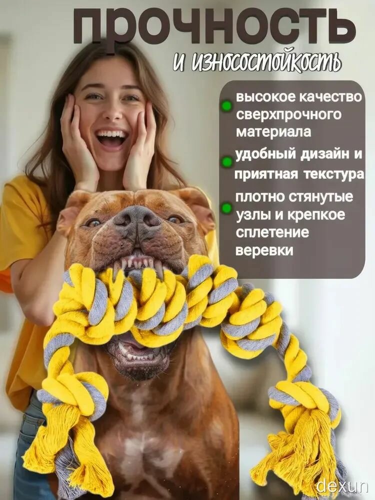 Канат для собак 60 см Golden Heart Winner, 100% хлопок, двойное плетение — фото 1