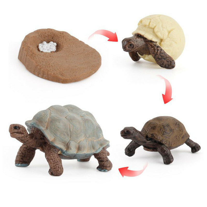 Пвц набор моделей животных учебный для детей цикл роста черепахи лягушки птицы оформление класса слон черепаха