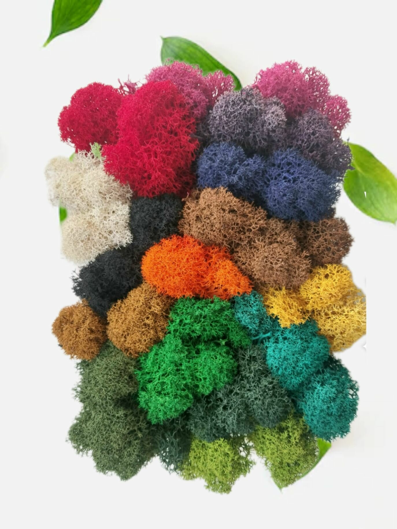 Мох стабилизированный набор - Разноцветный, 100 гр