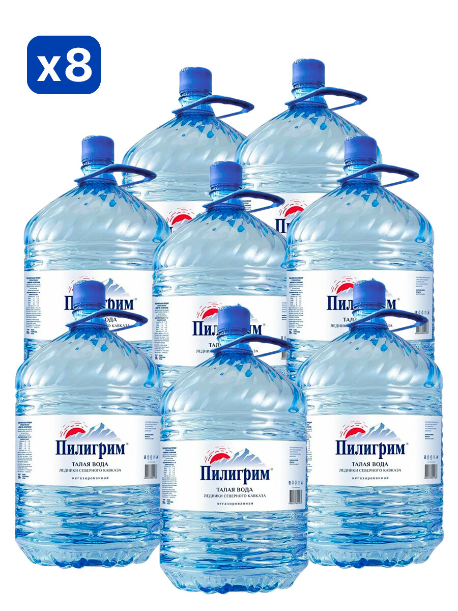 Минеральная питьевая столовая вода "Пилигрим" 19.0 литров (одноразовые бутыли) 8 шт