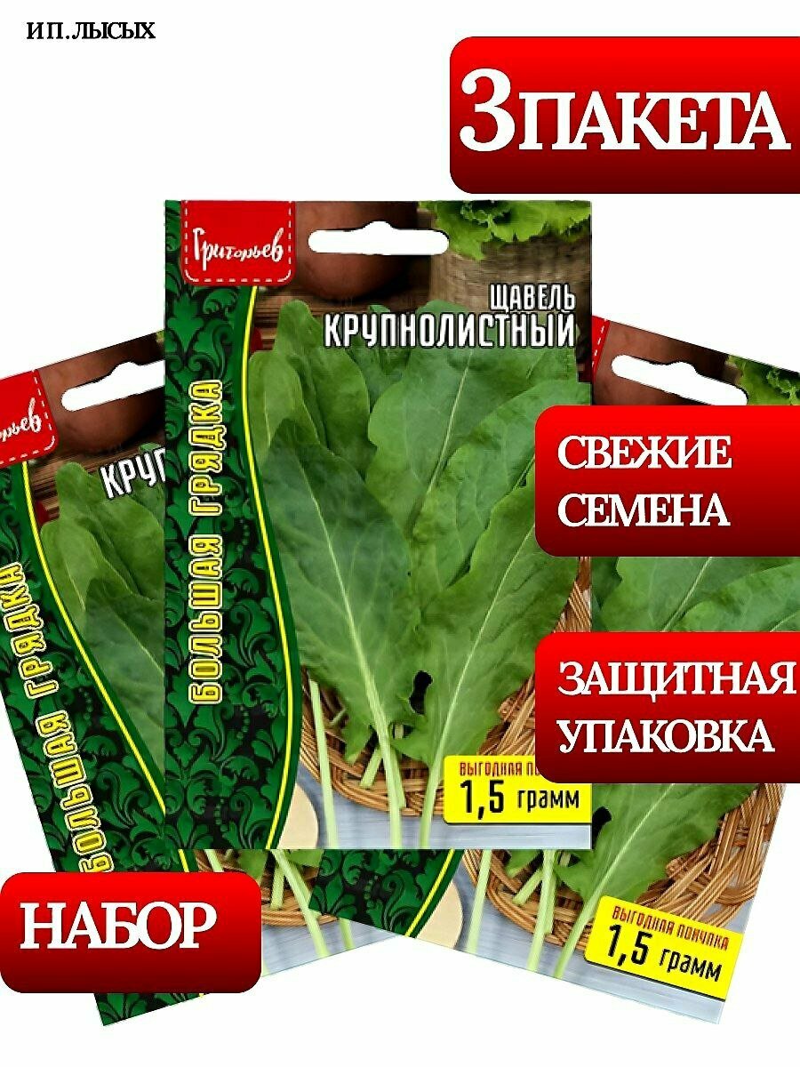 Семена Щавель "Крупнолистный"