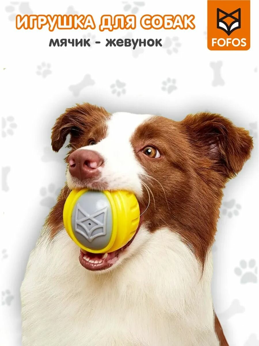 Игрушка для чистки зубов собак (мячик) 76 мм M FOFOS Flexy Ball NEW, D05258