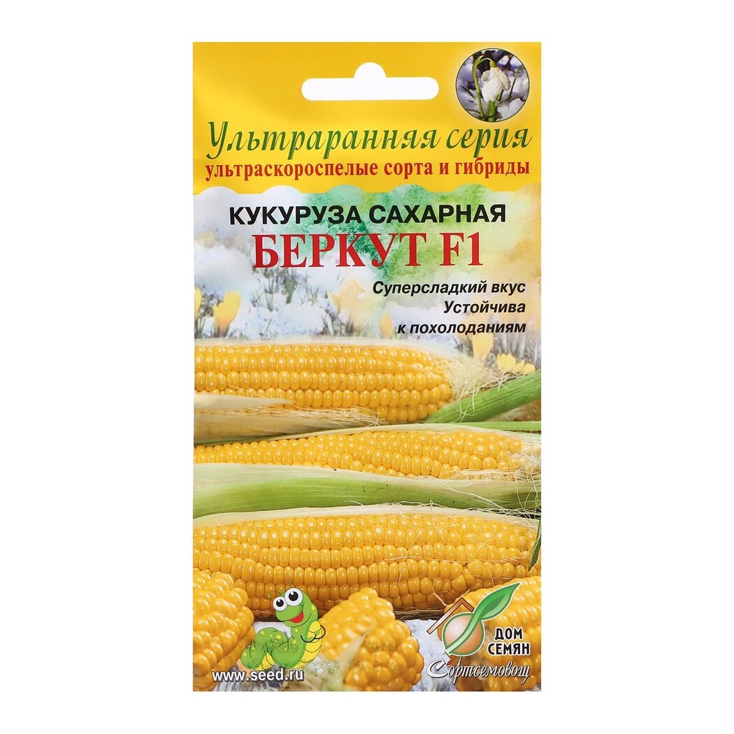 Семена кукурузы Дом семян "Беркут", ультраранний гибрид, 8шт
