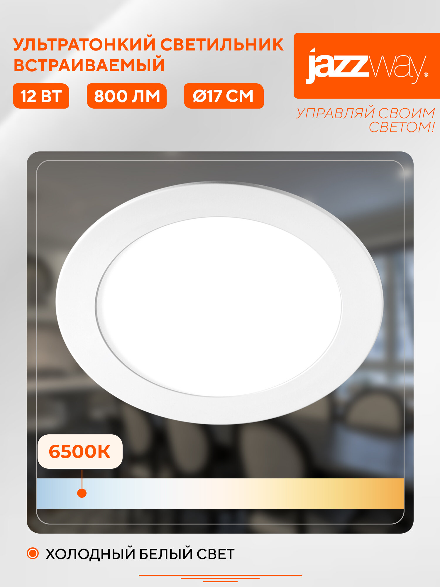 Светильник светодиодный встраиваемый ультратонкий JAZZway PPL-R 12w 6500K d170мм