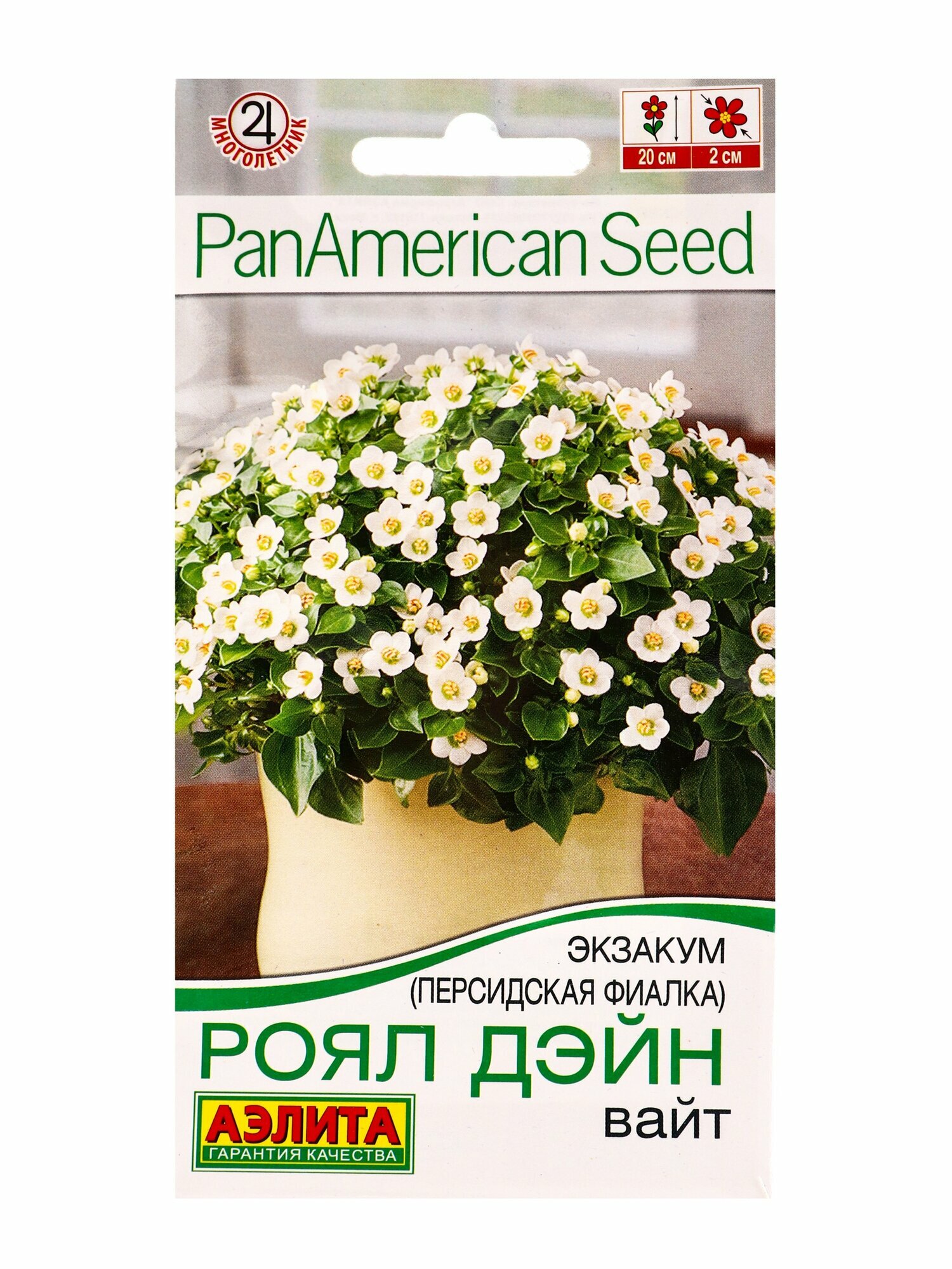 Семена цветов Экзакум (Персидская фиалка) Роял дэйн вайт (драже) PanAmerican, Ц/П,4 шт.