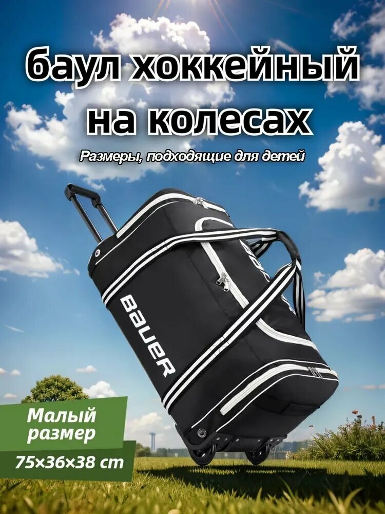 Хоккейный баул