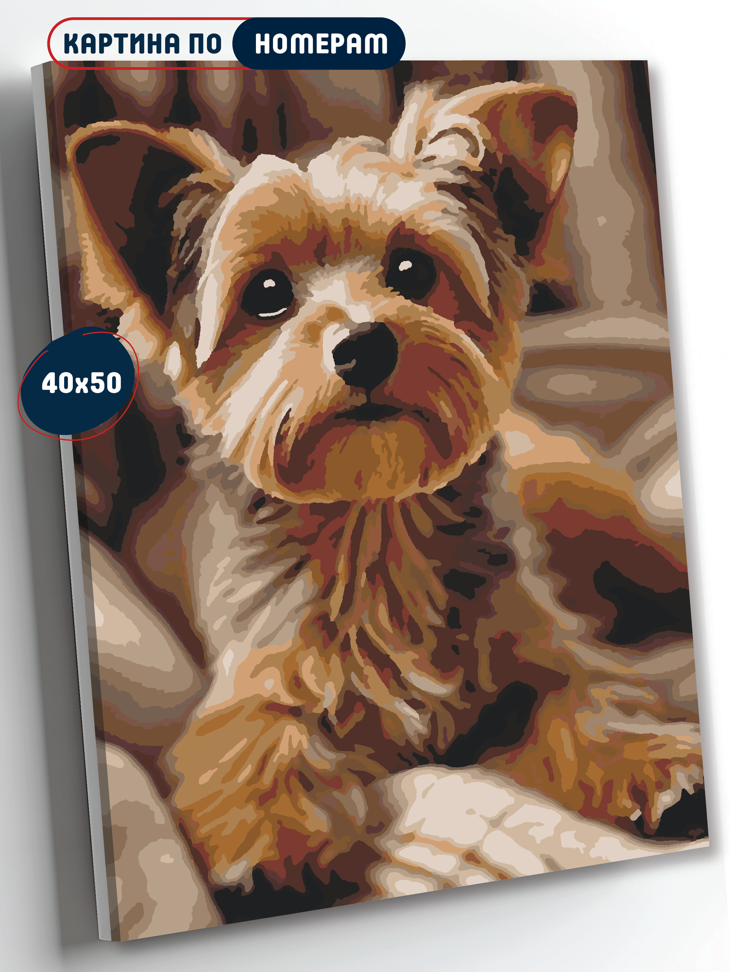 Картина по номерам "Йоркширский терьер", Холст на подрамнике 40х50, набор для рисования, с животными