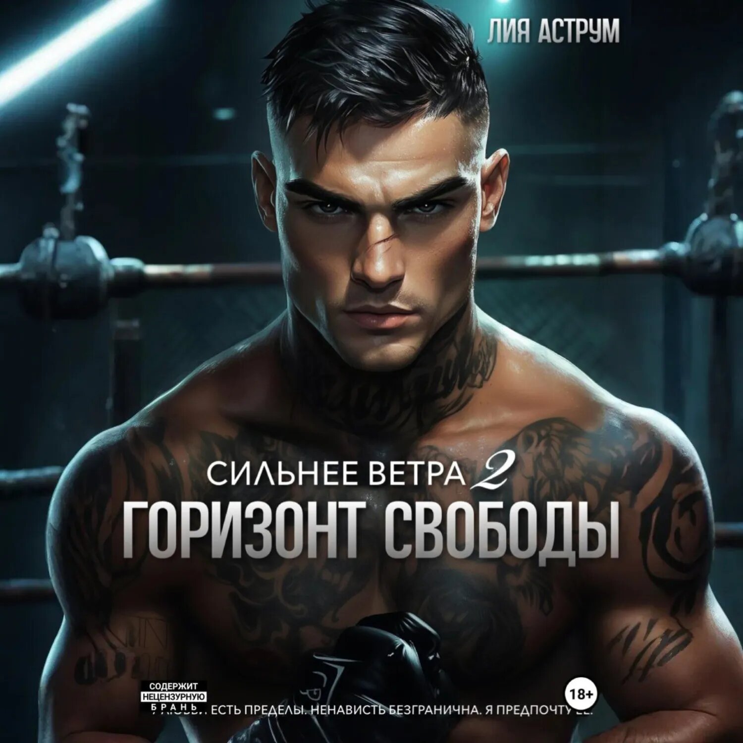 Сильнее ветра 2. Горизонт свободы [Аудиокнига]