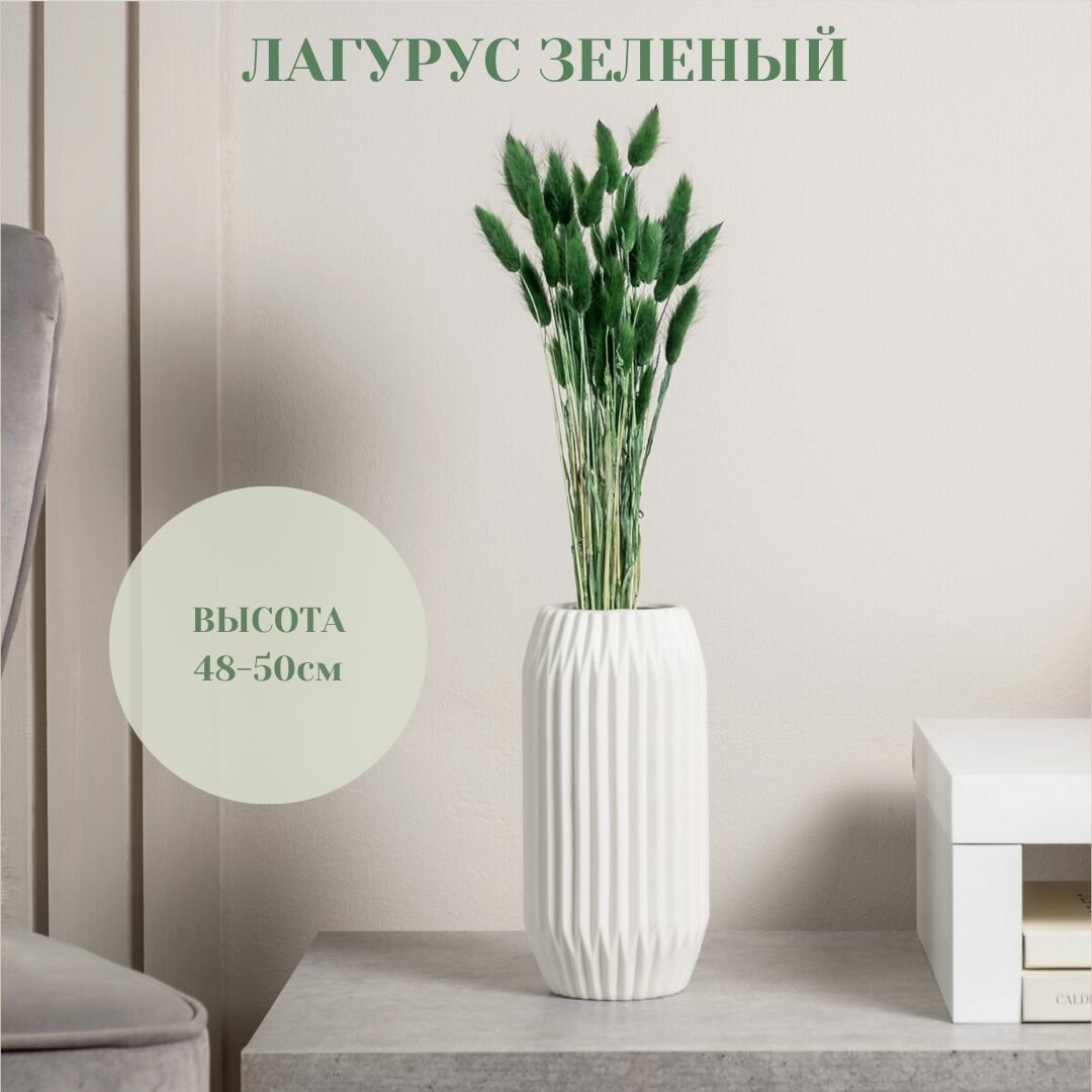 Сухоцветы