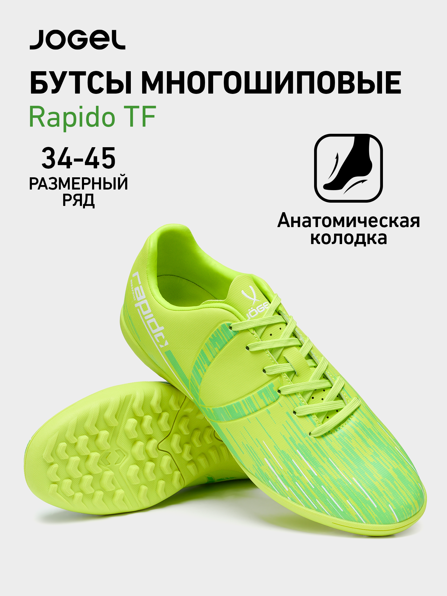 Сороконожки