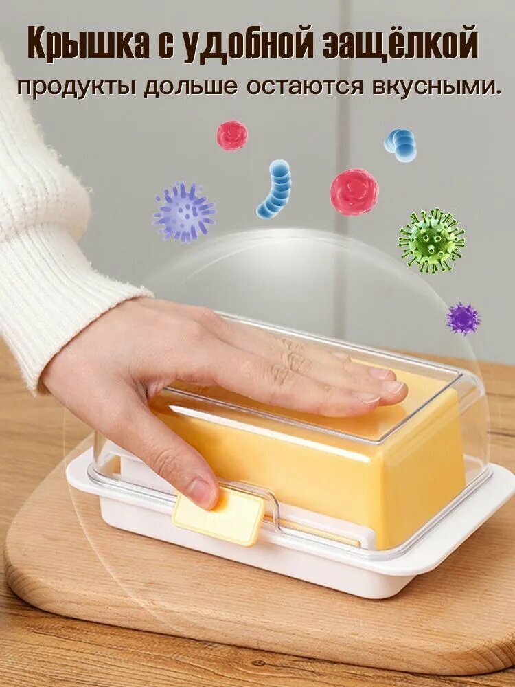 Масленка, сырница — фото 1
