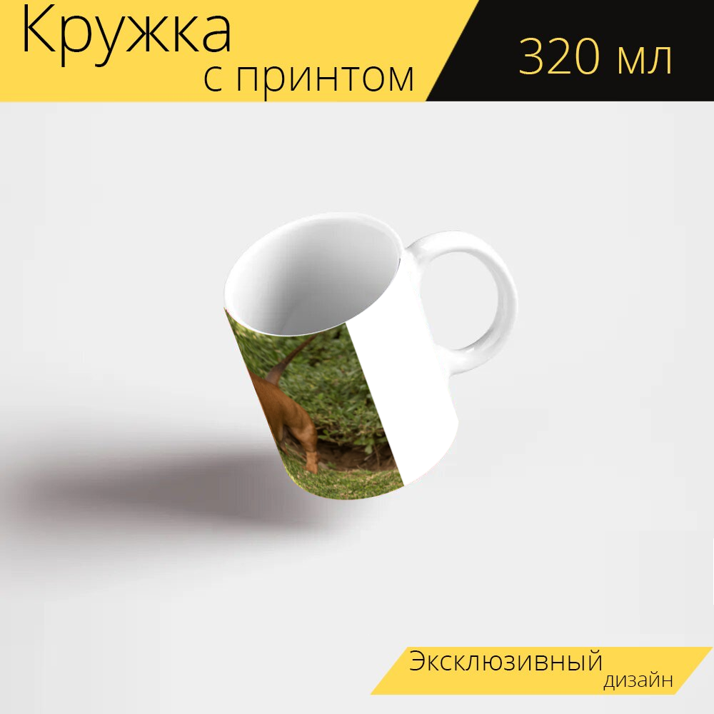 Кружка с рисунком, принтом "Такса, собака, домашний питомец" 320 мл.