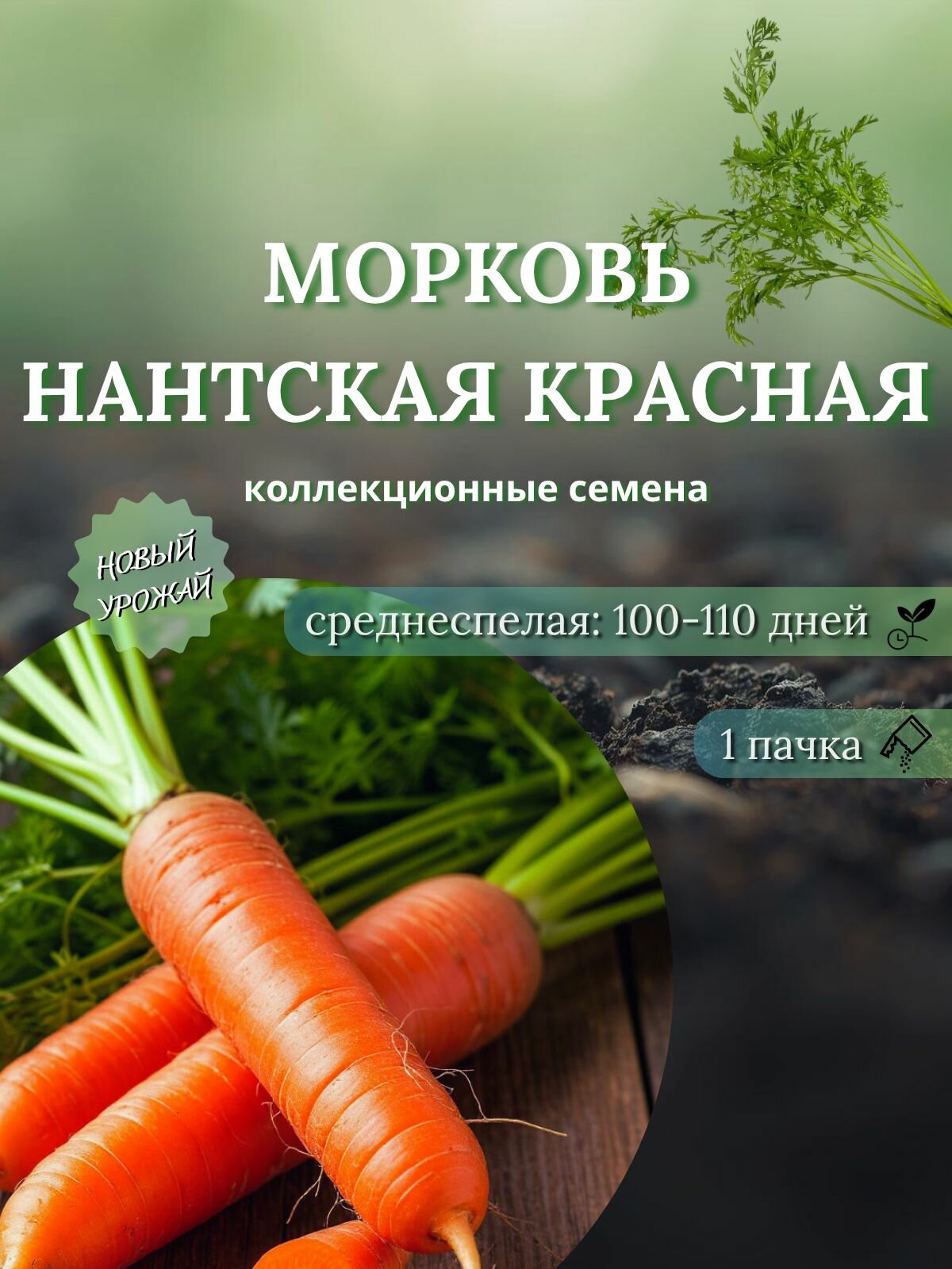 Морковь Нантская красная, коллекционные семена, 10 шт.