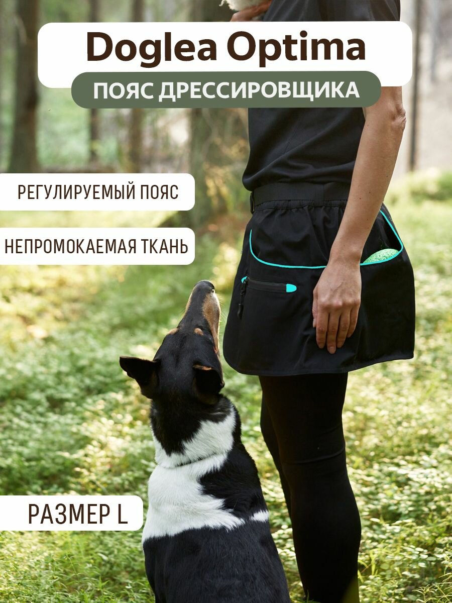 Сумка для лакомств, пояс-юбка дрессировщика DOGLEA Optima Color бирюзовый L