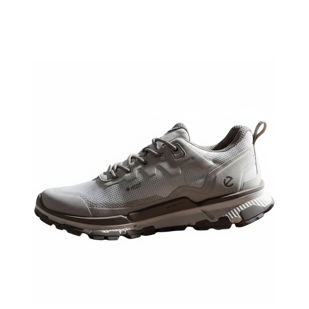 Туфли ECCO Biom 2.2