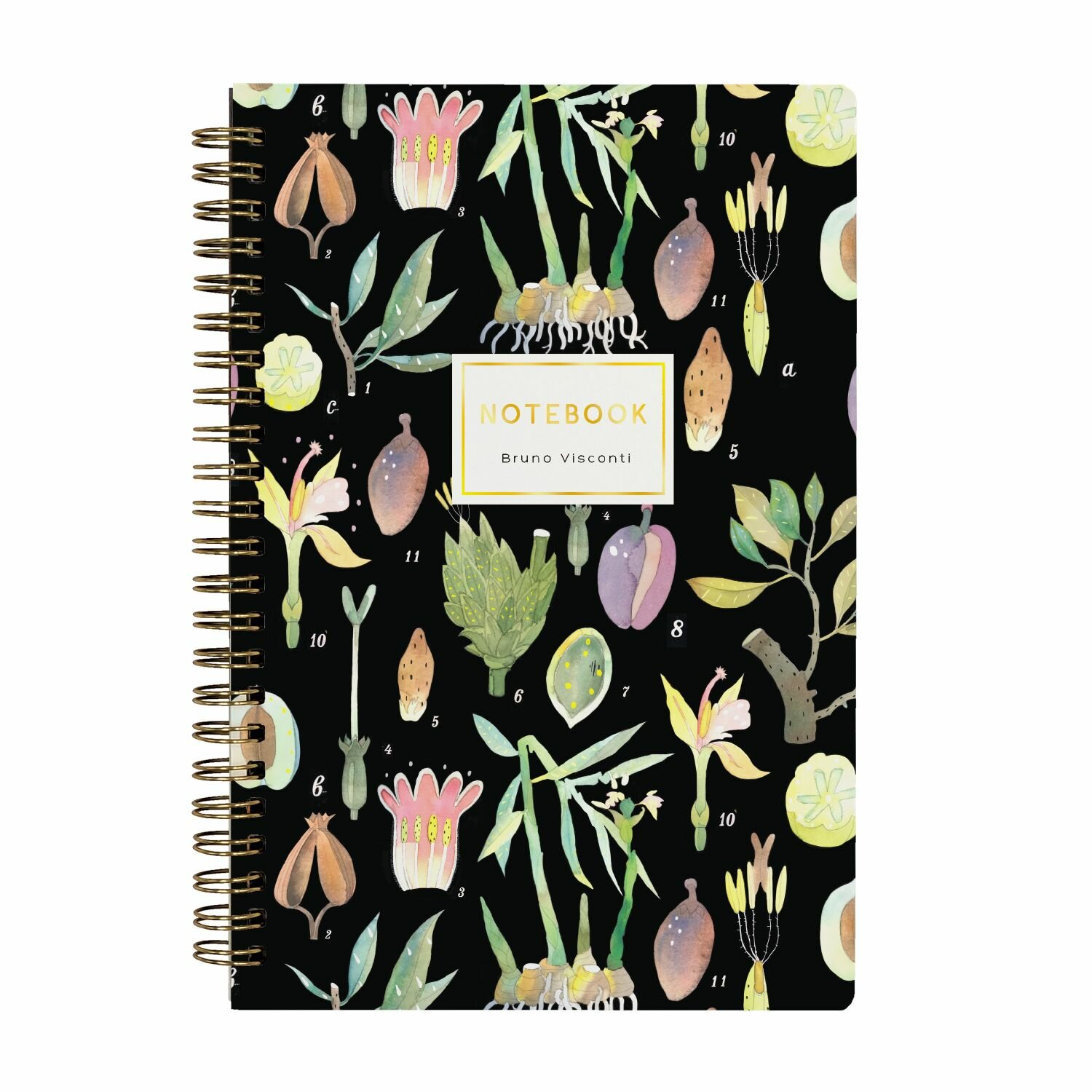 Тетрадь А5 в клетку на пружине Bruno Visconti "ботаника"/ тетрадь на гребне 60л клетка арт.7-60-201/02