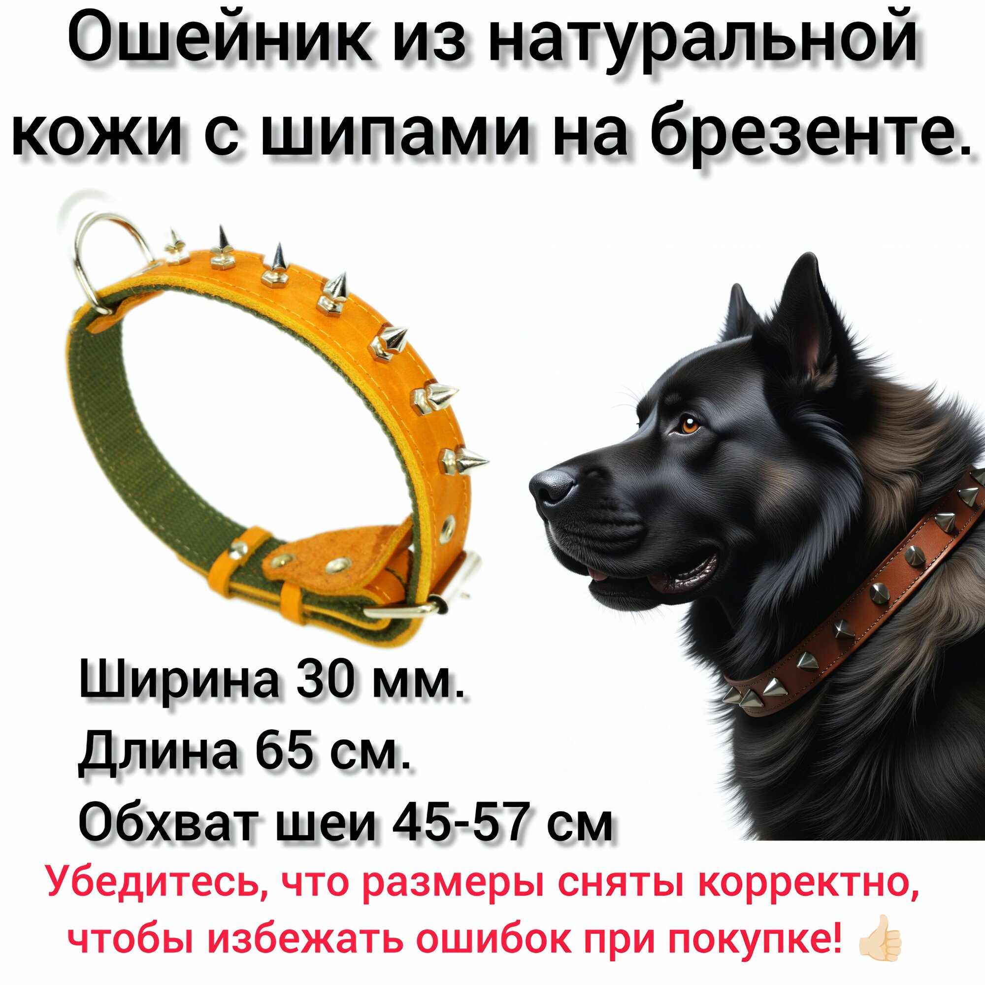 Ошейник из натуральной кожи и брезента с шипами для собак средних и крупных пород. Ширина 30мм Длина 65 см Объём шеи 45-57см. Кожаный ошейник с шипами.