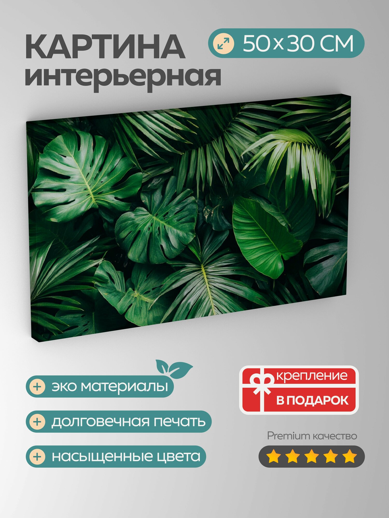 Картина на холсте интерьерная 50х30 см, Джунгли, тропические, свет и тень, зелень, природа, высокая четкость, 24-70 мм
