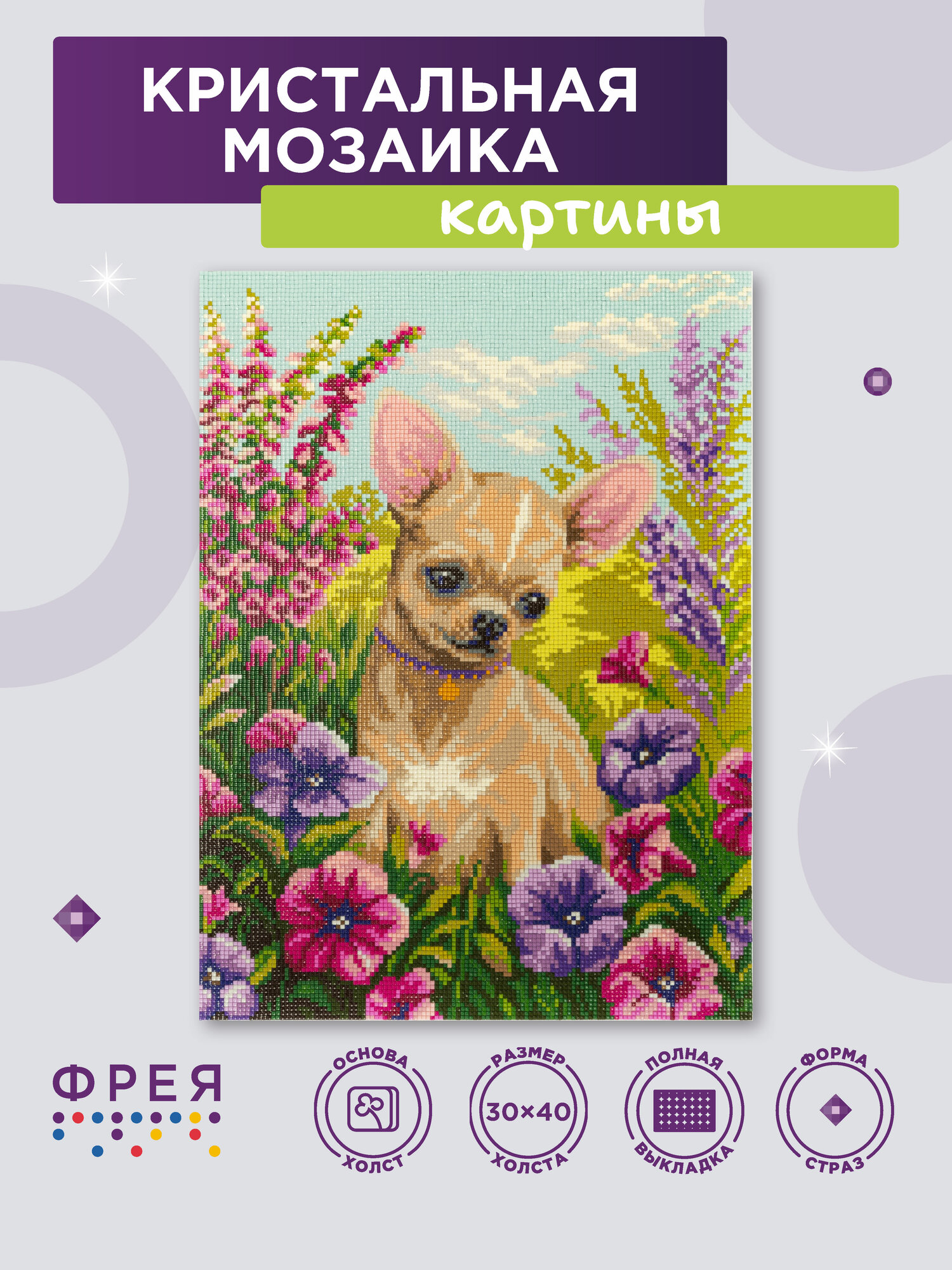 Алмазная (кристальная) мозаика на холсте "фрея" ALVR-302 "Чихуахуа" 30 х 40 см