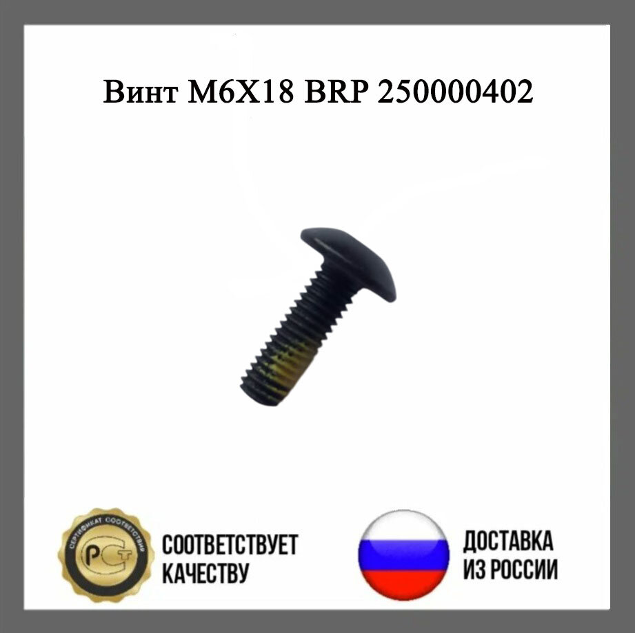 Винт М6Х18 BRP 250000402
