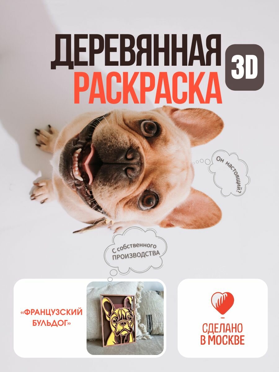 Раскраска Французский бульдог деревянная 3D