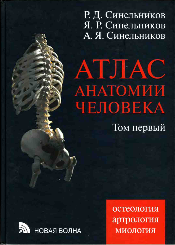 Атлас анатомии человека. В 4-х томах. Том 1. Учение о костях, соединениях костей и мышцах Reprinted books