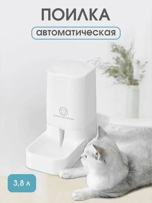 Автоматические питьевые фонтанчики и автоматические кормушки для кошек и собак, подходящие для домашних животных.