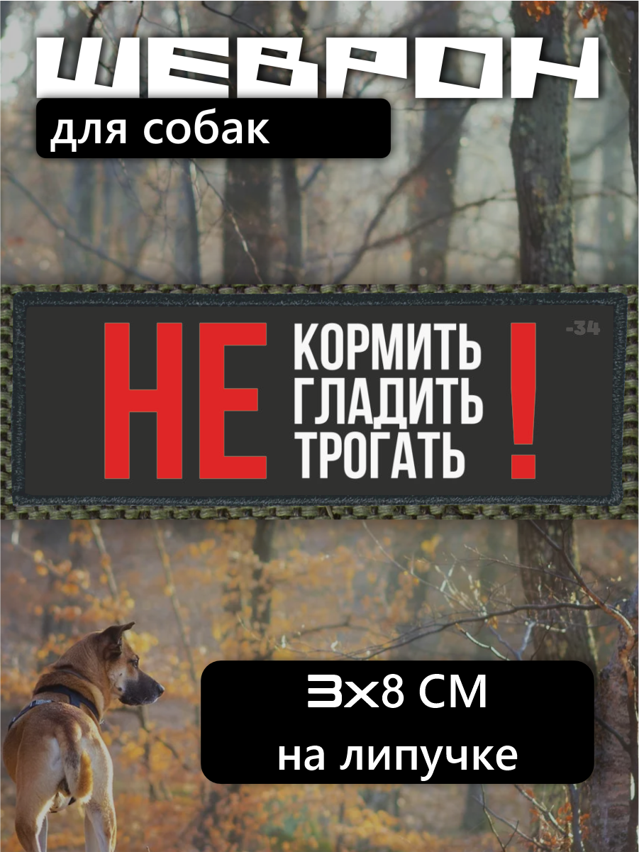 Шеврон на липучке для собак Надпись